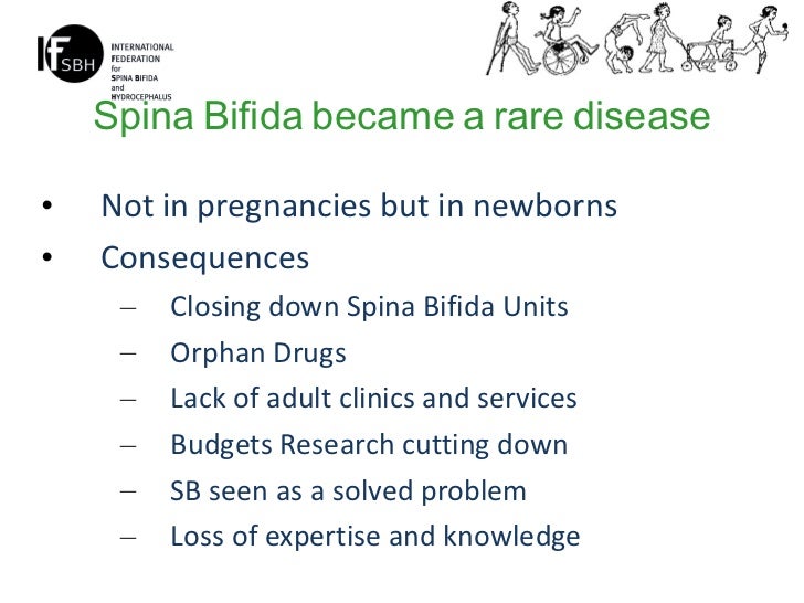 Workshop 7 Presentation Of The International Federation For Spina
