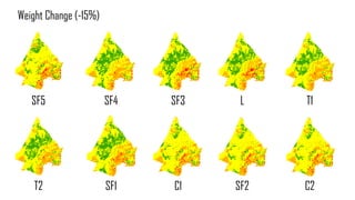 Example of Weight Sensitivity Analysis.pptx