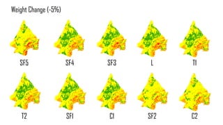 Example of Weight Sensitivity Analysis.pptx