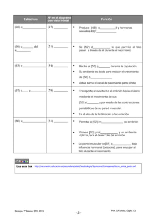 reproducción en humanos. Hojas de trabajo para Biología 7º básico | PDF