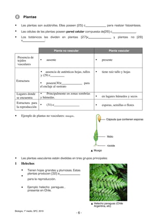 Evolución y biodiversidad: clasificación de los organismos.Hojas de ...