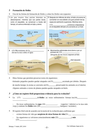 Evolución y biodiversidad. Hoja de trabajo para biología, primero medio ...