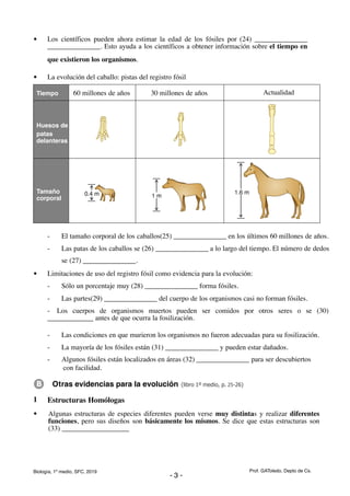 Evolución y biodiversidad. Hoja de trabajo para biología, primero medio ...