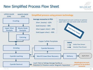 Wildcat Silver Corporate Presentation | PDF | Commodities | Economy