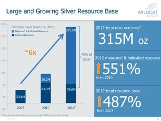 Wildcat Silver Corporate Presentation | PDF