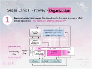 The role of human factors in the fight against sepsis | PPTX