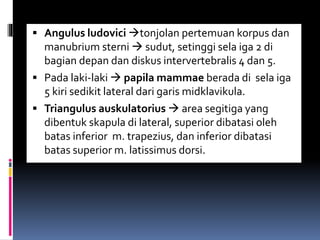 Wsd | PPTX