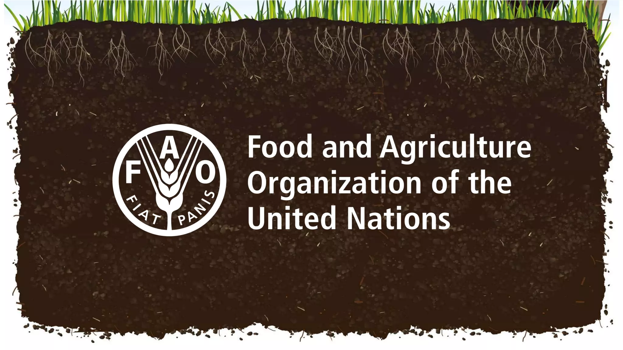 Soils beyond 2015, building from the IYS legacy | PPT