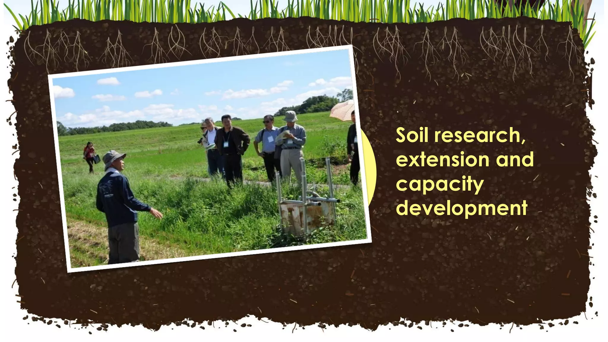 Soils beyond 2015, building from the IYS legacy | PPT