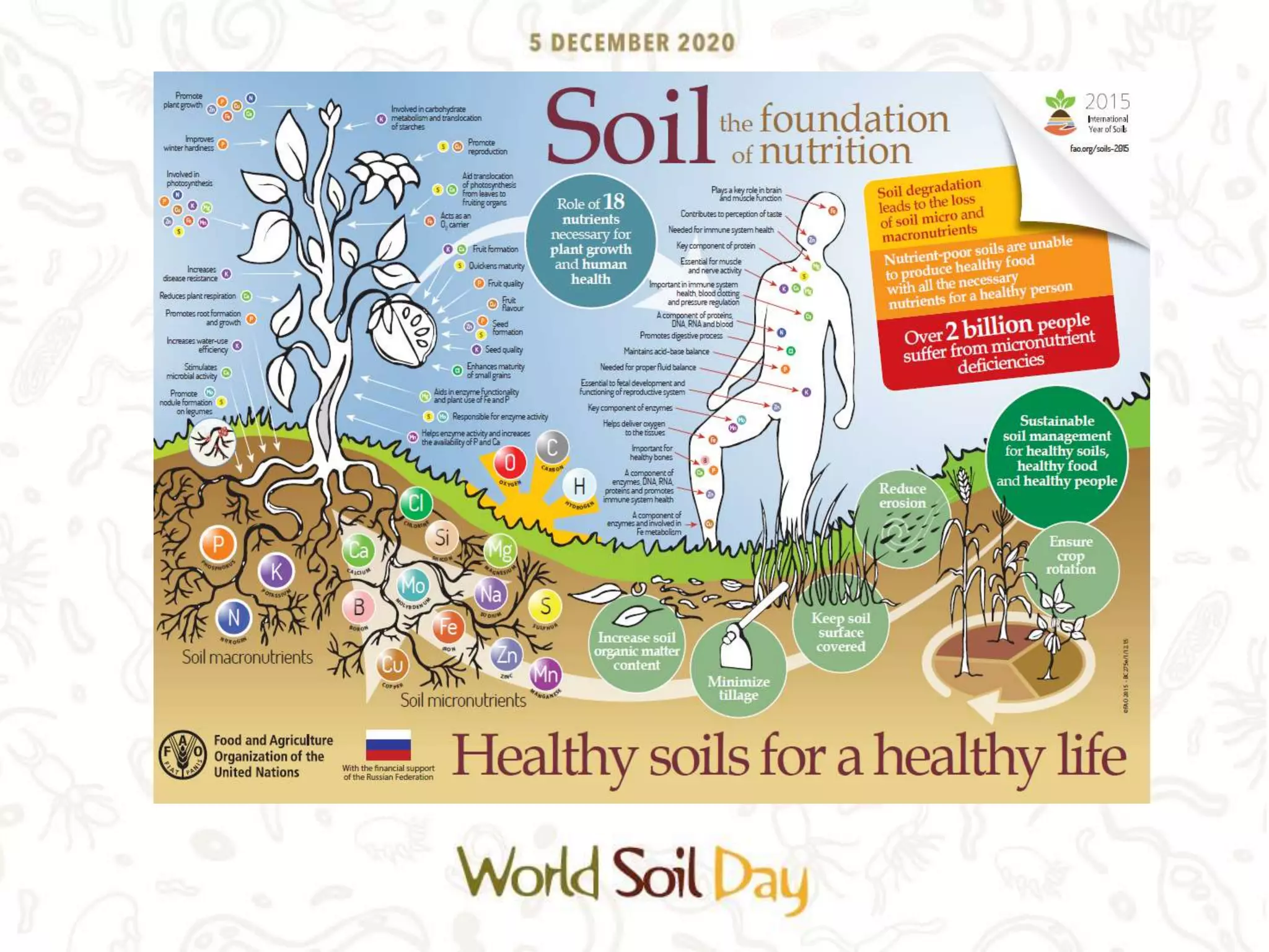 Healthy soil, an essential ingredient for healthy food and nutrition | PPT Healthy soil, an essential ingredient for healthy food and nutrition | PPT
