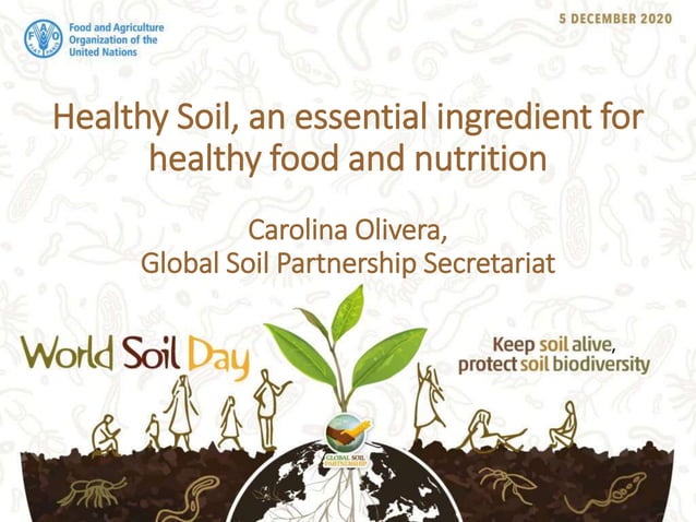 Healthy soil, an essential ingredient for healthy food and nutrition | PPT Healthy soil, an essential ingredient for healthy food and nutrition | PPT