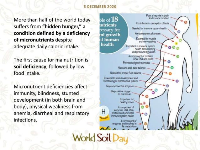 Healthy soil, an essential ingredient for healthy food and nutrition | PPT Healthy soil, an essential ingredient for healthy food and nutrition | PPT