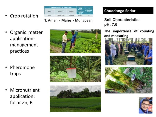 Healthy soil, an essential ingredient for healthy food and nutrition | PPT Healthy soil, an essential ingredient for healthy food and nutrition | PPT