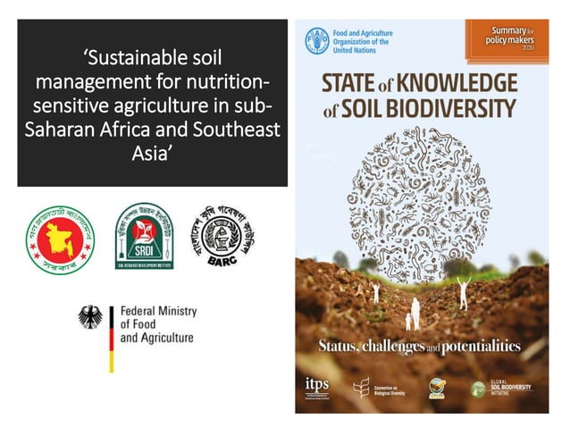 Healthy soil, an essential ingredient for healthy food and nutrition | PPT Healthy soil, an essential ingredient for healthy food and nutrition | PPT