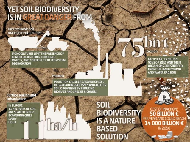 Healthy soil, an essential ingredient for healthy food and nutrition | PPT Healthy soil, an essential ingredient for healthy food and nutrition | PPT