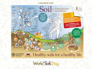 Healthy soil, an essential ingredient for healthy food and nutrition | PPT