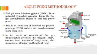 A PRESENTATION ON RECLAMATION OF SALINE-SODIC SOILS BY (FGDG) | PPTX