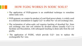 A PRESENTATION ON RECLAMATION OF SALINE-SODIC SOILS BY (FGDG) | PPTX