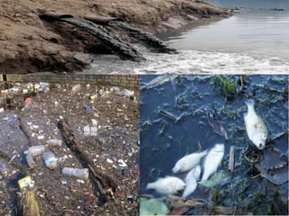 water born diseases | PPT