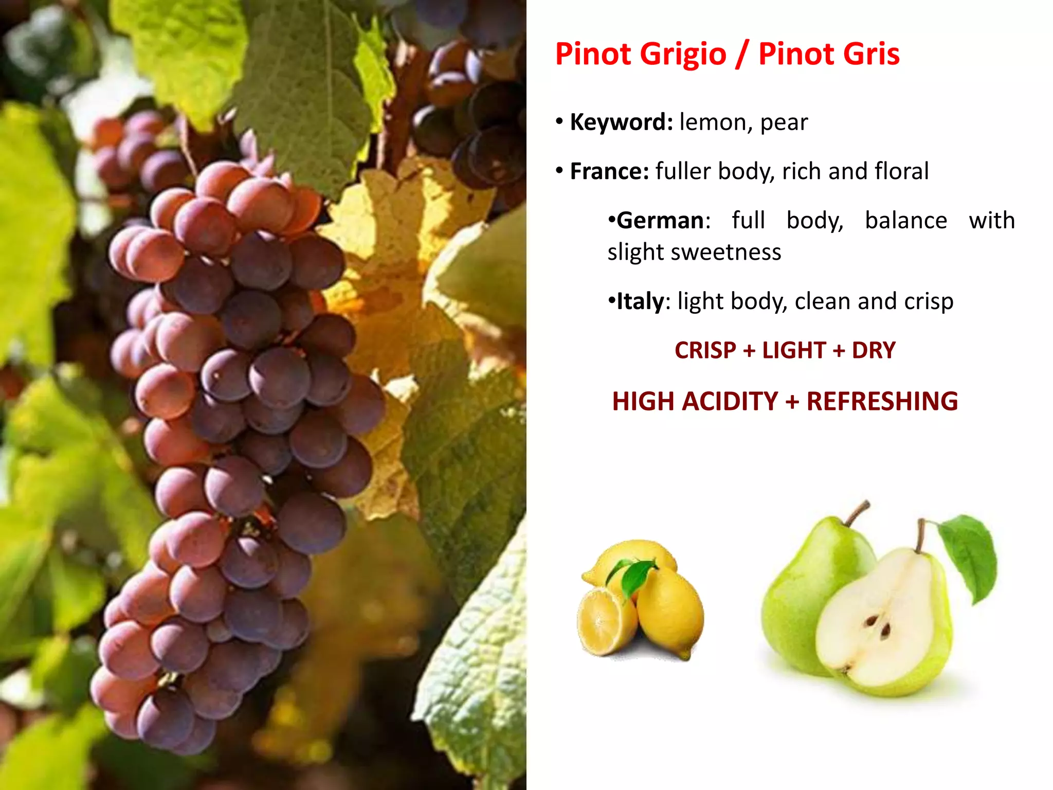 Basic wine knowledge | PPTX