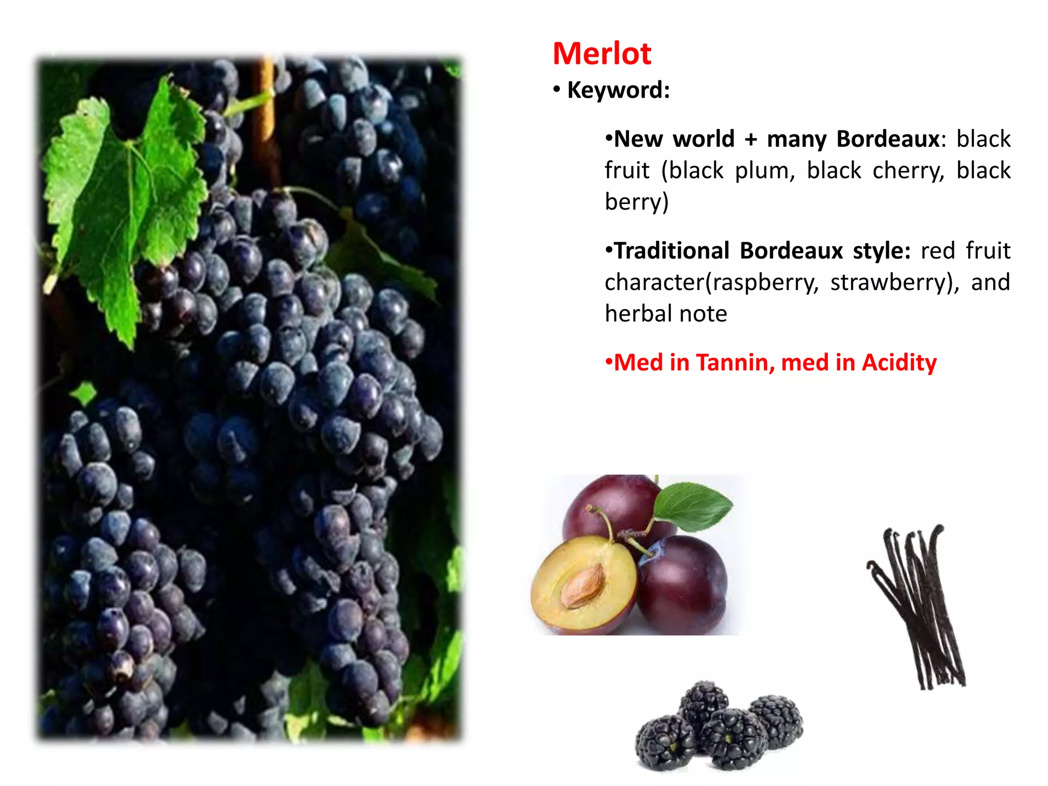 Basic wine knowledge | PPTX