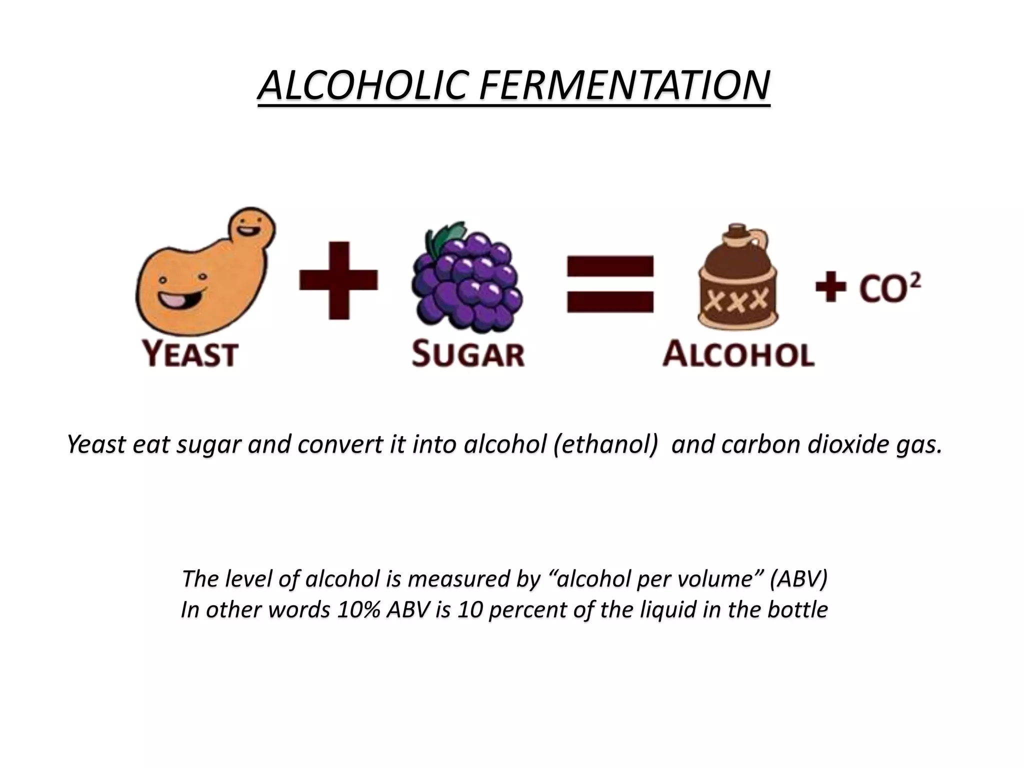 Basic wine knowledge | PPTX