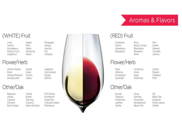 Basic wine knowledge | PPTX
