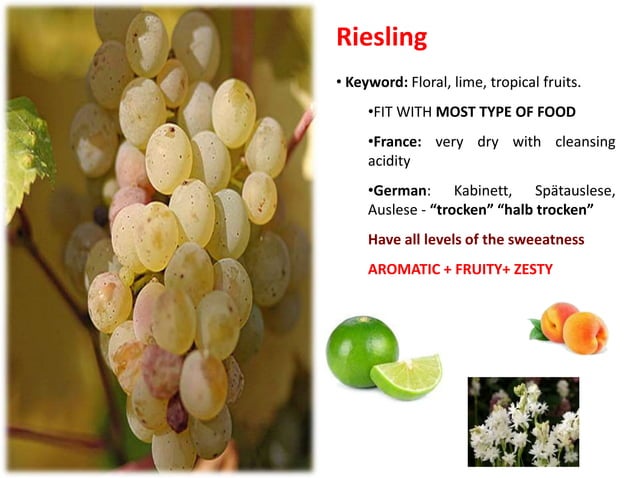 Basic wine knowledge | PPTX