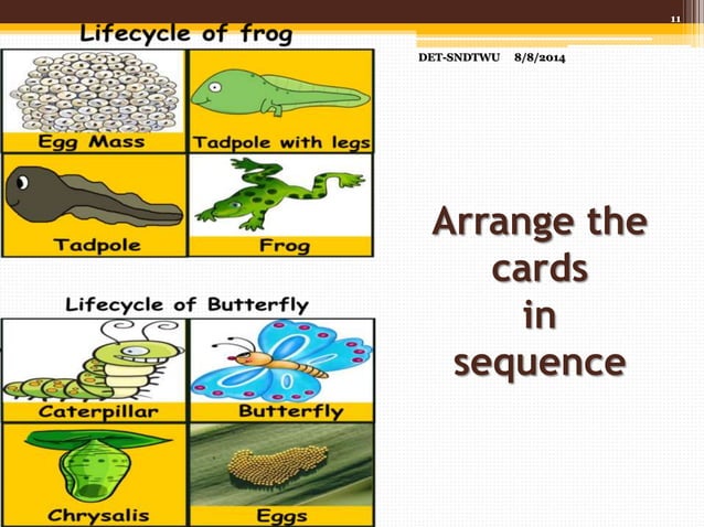 Making Flashcards Using Inkscape Software Pptx Graphics Software Computer Software And