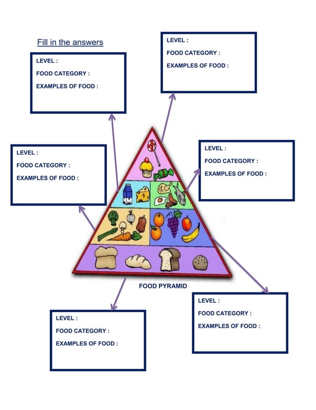 Worksheet foodpyramid | PDF