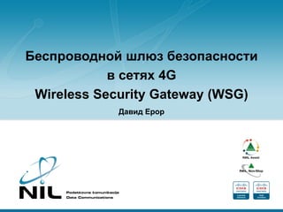 Беспроводной шлюз безопасности в сетях 4G Wireless Security Gateway ...