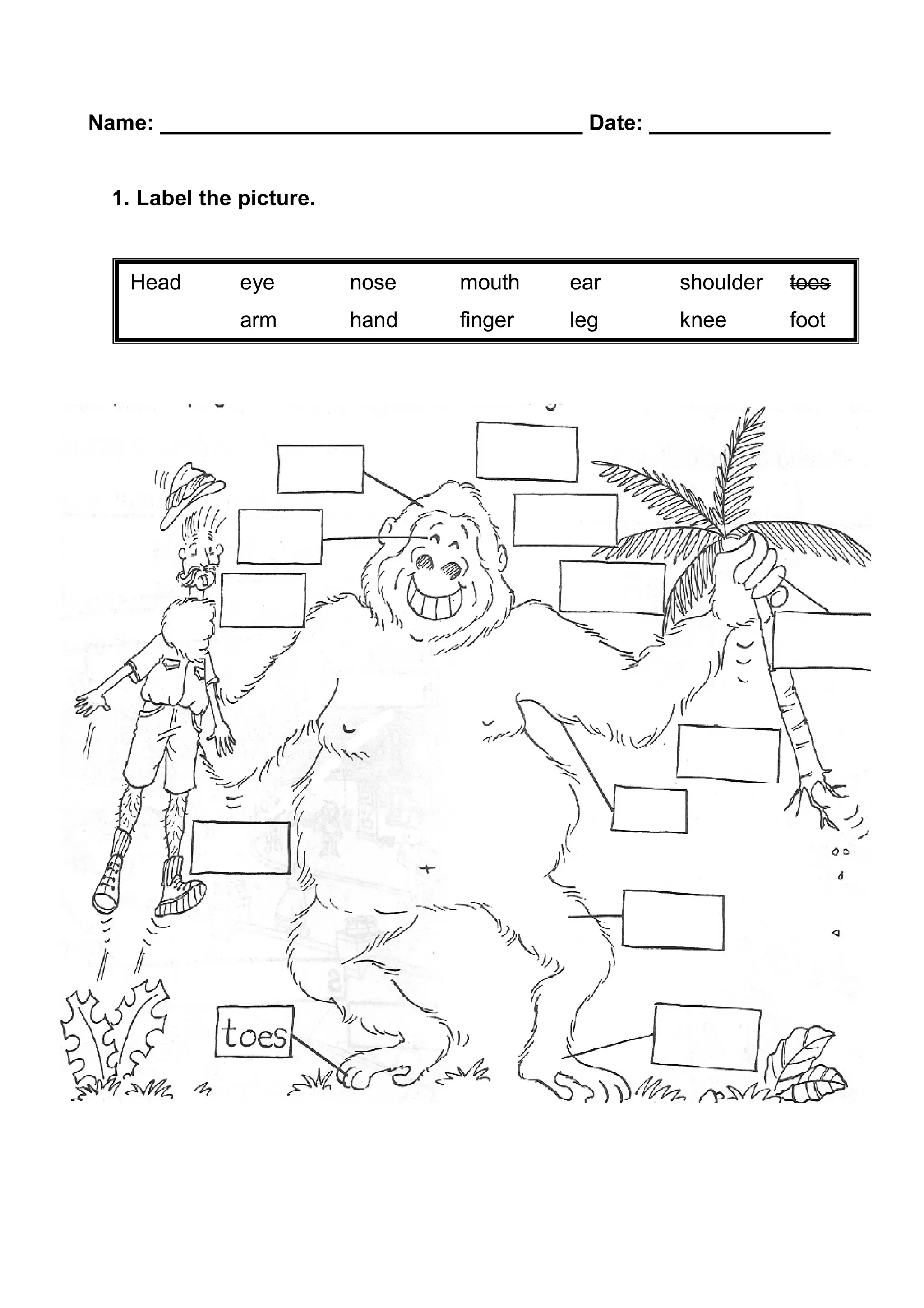 Label the gorilla | PDF