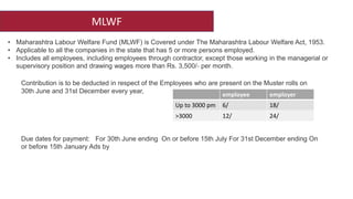 Wshop Payroll & Compliance - Day 2 (1).pptx | Personal Taxes | Personal ...