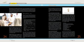 Wsis+10 Country Reporting - UAE | PDF
