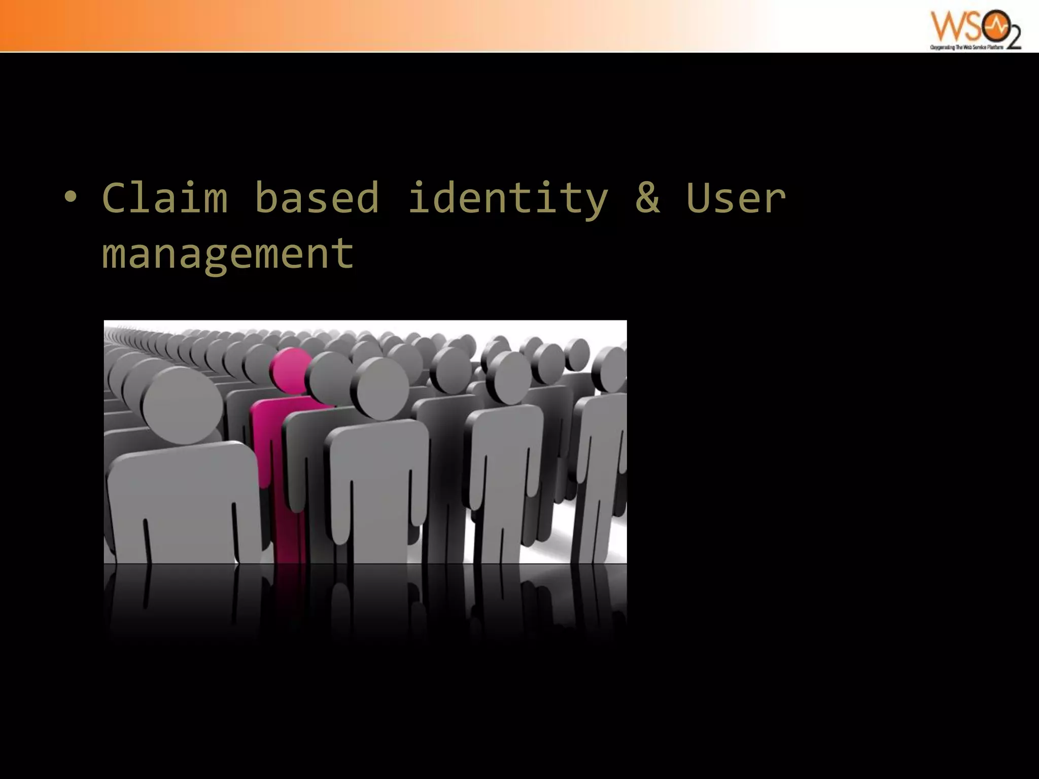 WSO2 Identity Server 2.0 Introduction | PDF | Computing | Technology ...