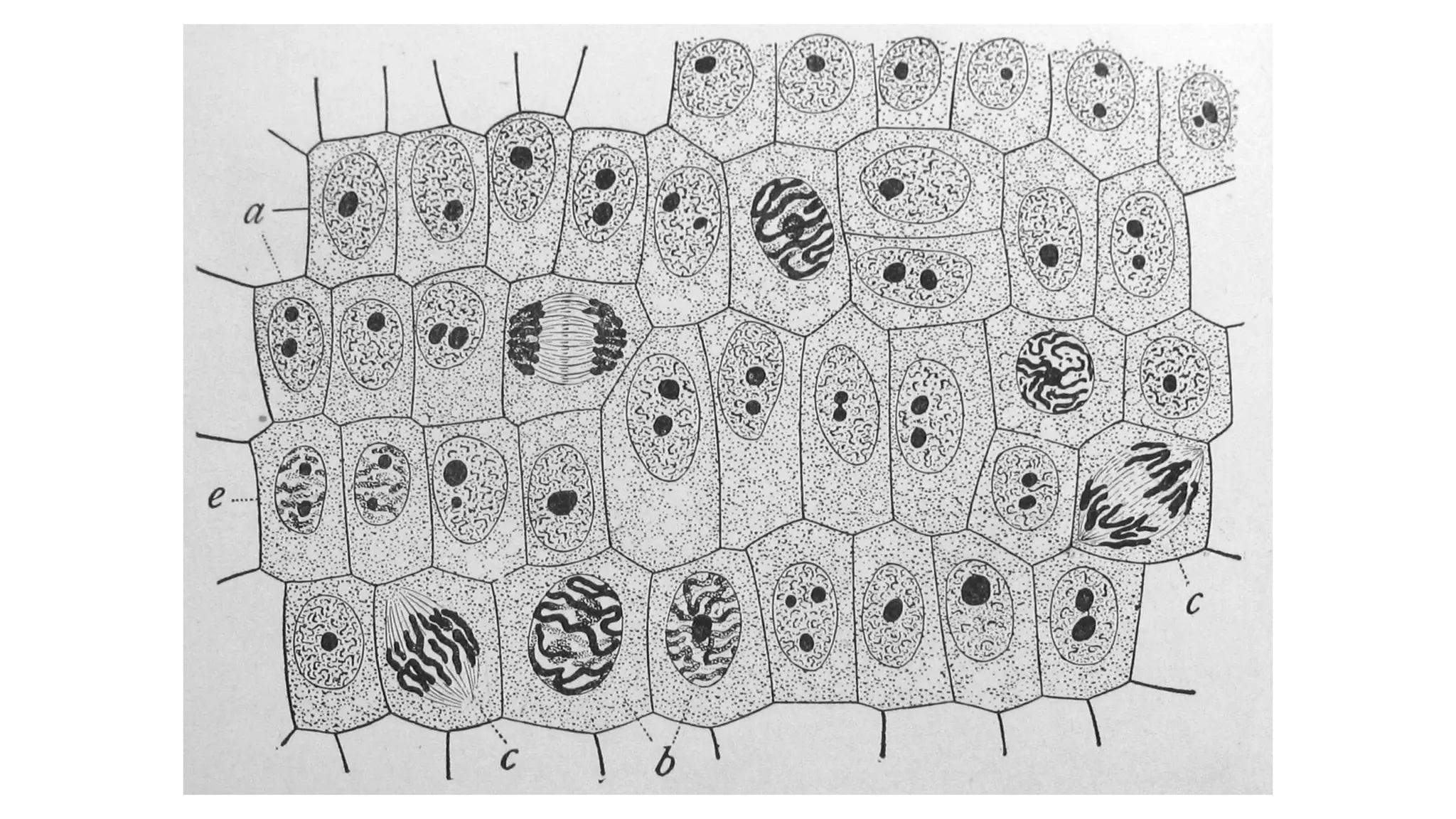 [WSO2 Integration Summit Nairobi 2019] Emerging Architecture Patterns ...