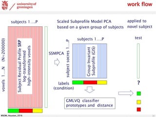 2016: Classification of FDG-PET Brain Data | PPSX