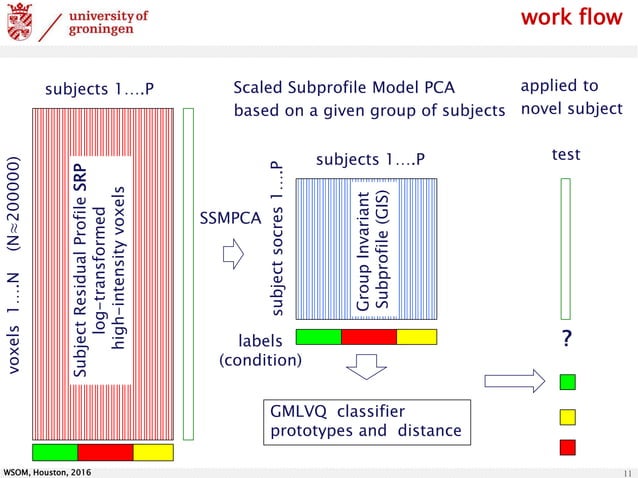 2016: Classification of FDG-PET Brain Data | PPSX