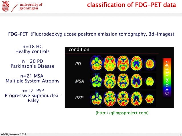 2016: Classification of FDG-PET Brain Data | PPSX