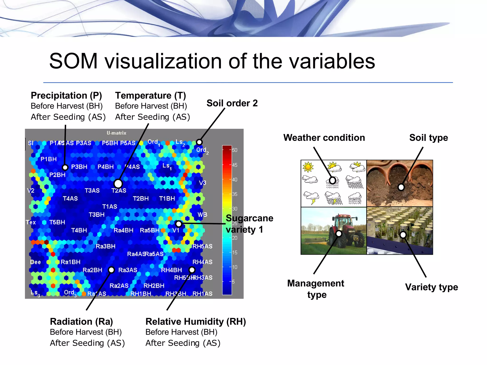 Classification of similar productivity zones in the sugar cane culture using clustering of SOM ...