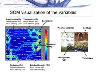 Classification of similar productivity zones in the sugar cane culture ...