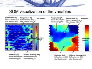 Classification of similar productivity zones in the sugar cane culture ...