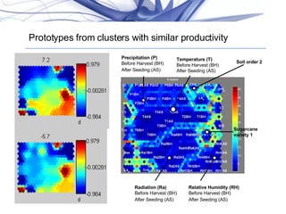 Classification of similar productivity zones in the sugar cane culture using clustering of SOM ...