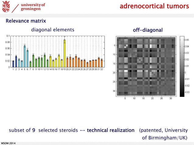 Prototype-based classifiers and their applications in the life sciences | PPT