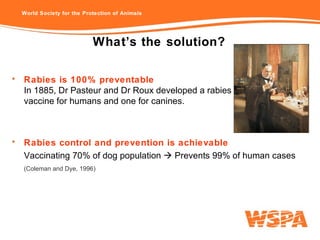 Rabies control: the benefits of a one health approach | PPT