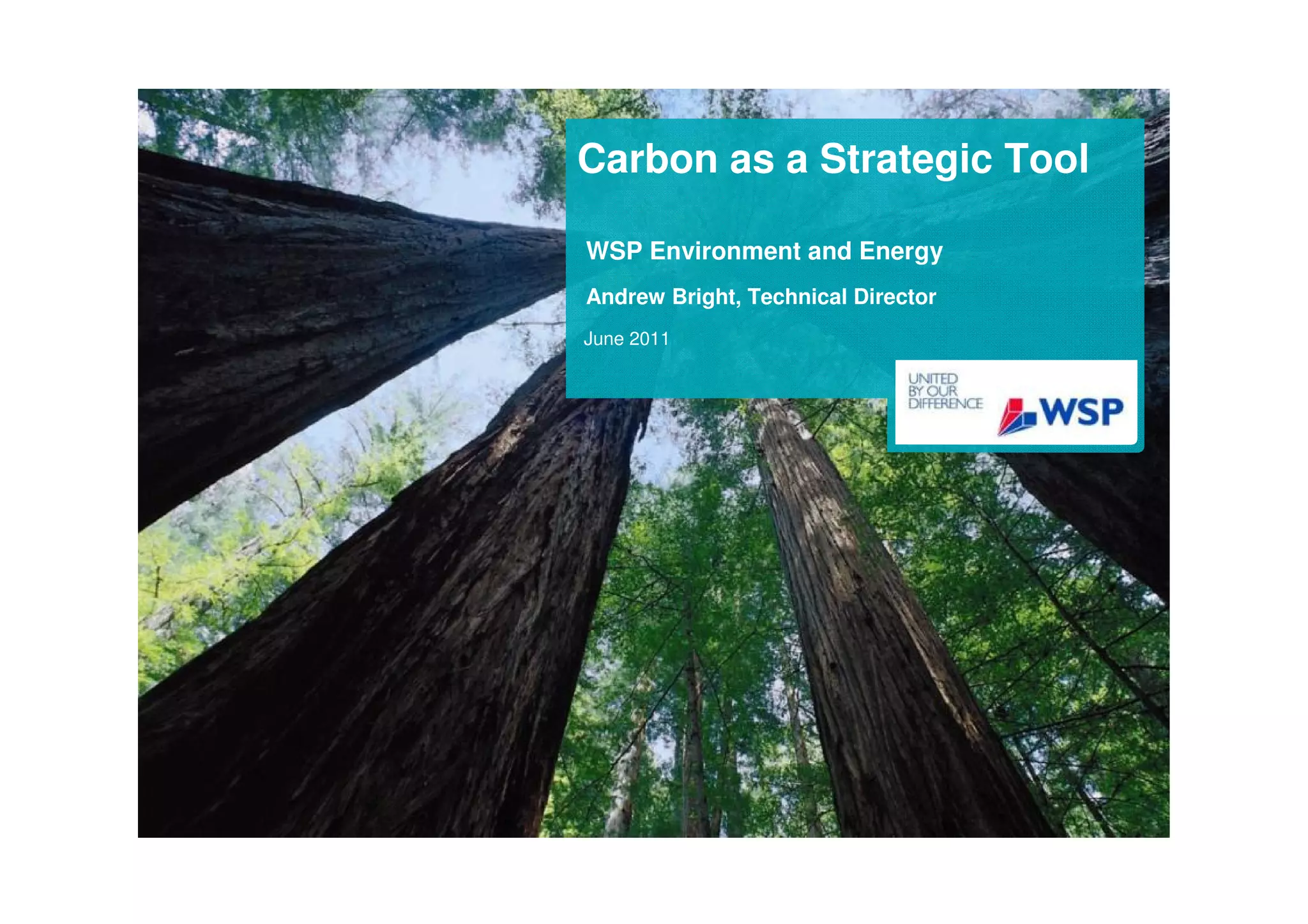 Wsp presentation | PPT