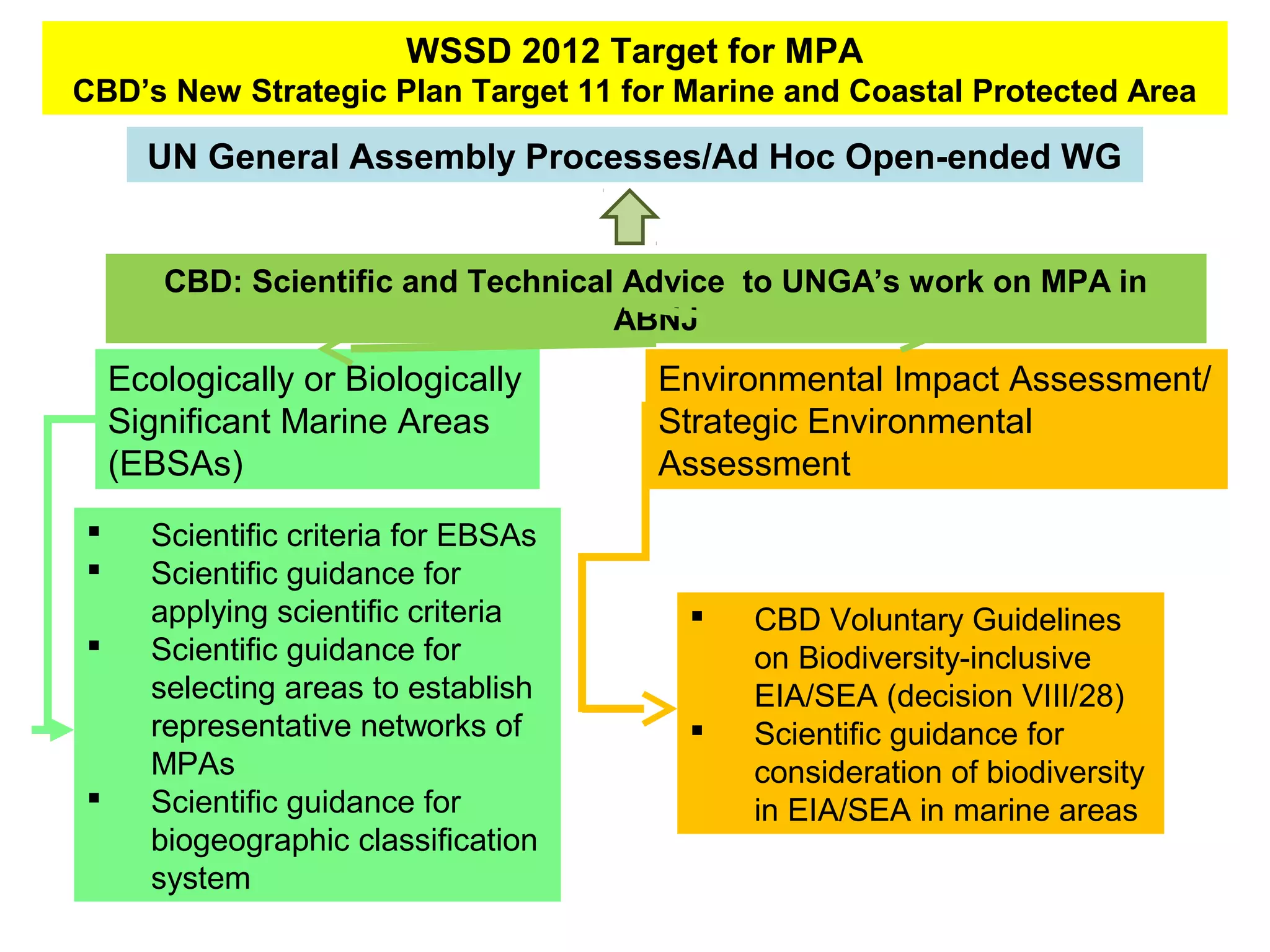 WSSD 2012 Target for MPA CBD’s New Strategic Plan Target 11 for Marine ...