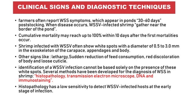 WSSV Aquaculture.pptx | Infectious Diseases | Diseases and Conditions