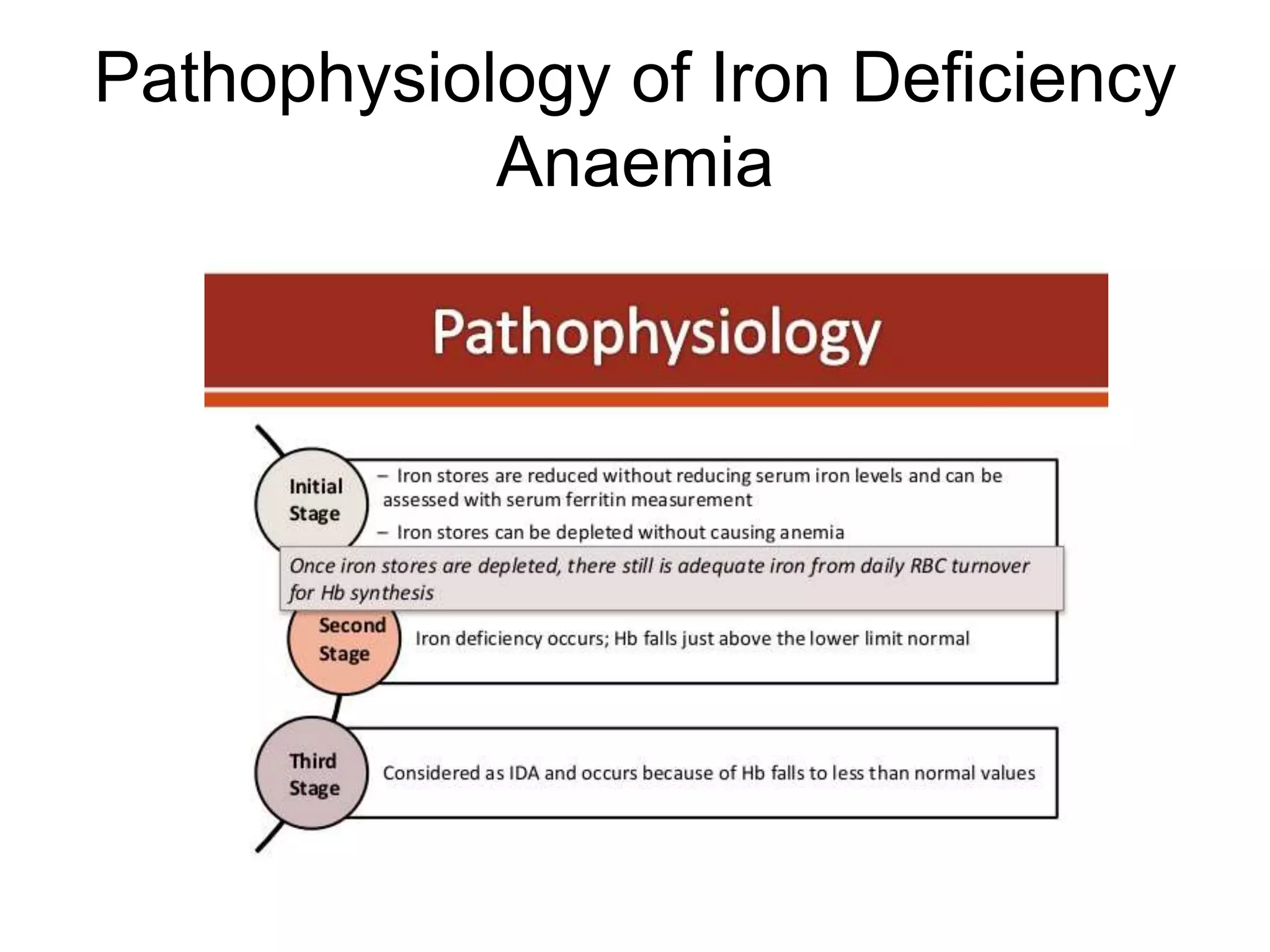 Iron deficiency anaemia | PPTX