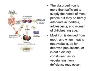 Iron deficiency anaemia | PPTX